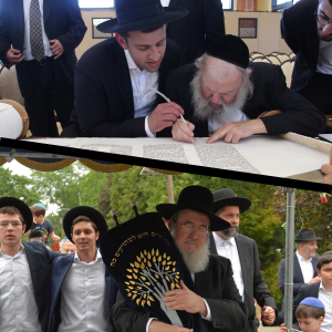 Oorah Auction | Winners