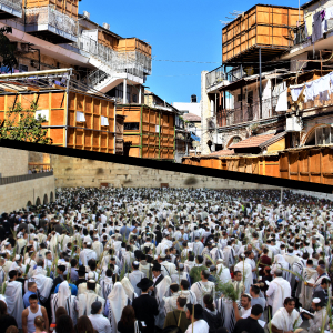 Oorah Auction | Winners