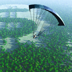 Oorah Auction | Winners