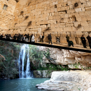 Oorah Auction | Winners